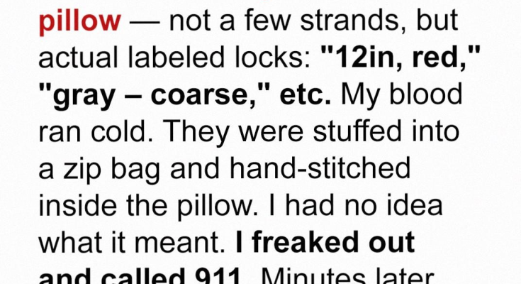 I Found WHAT In My Husband’s Pillow?! You Won’t Believe It! – REDDIT ...