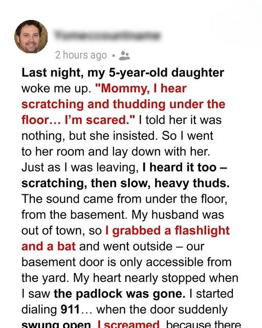 Daughter Hears Basement Noises, Mom Finds Shocking Scene – REDDIT ...